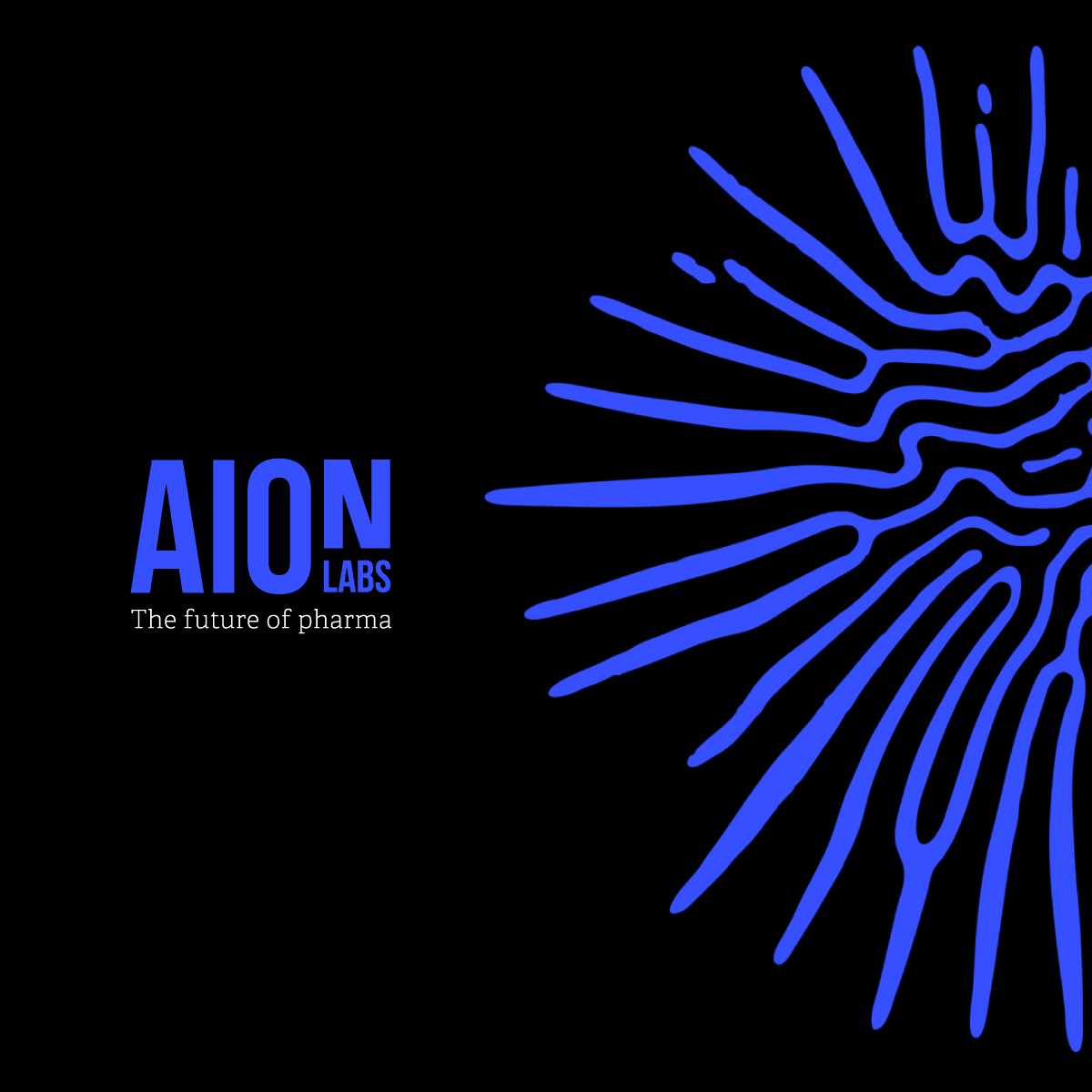 Who We Are - AION Labs