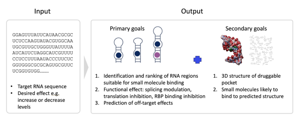 AI/ML Platform for Targeting RNA With Small Molecules challenge - AION Labs